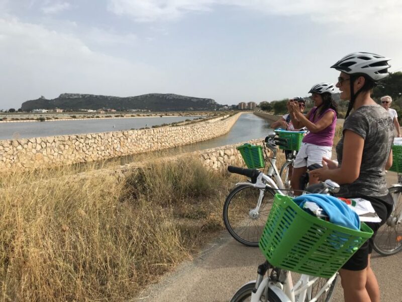 Cagliari E-Bike Tour: Canals & Flamingos at Molentargius - The Sum Up