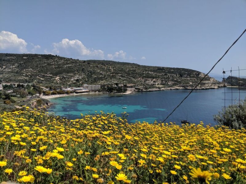 Cagliari E-Bike Tour: Canals & Flamingos at Molentargius - FAQs
