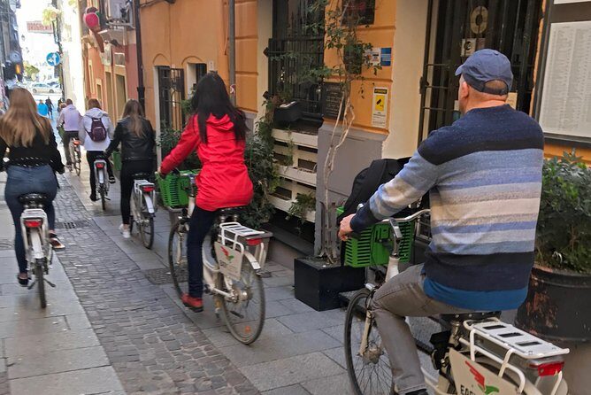 Cagliari E-Bike Tour: Gulf, Canals & Flamingos at Molentargius - Key Points  