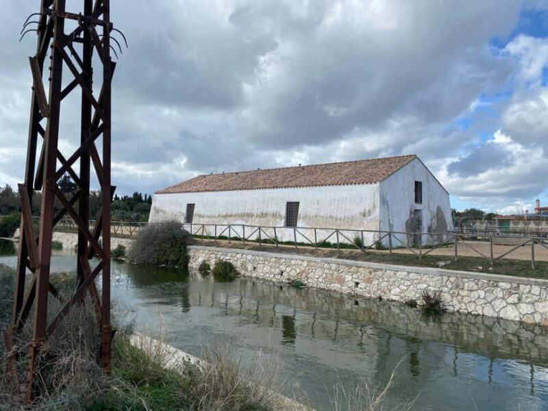 Cagliari: EcoSafari Flamingos Tour in Molentargius Park - An In-Depth Look at the EcoSafari Flamingos Tour