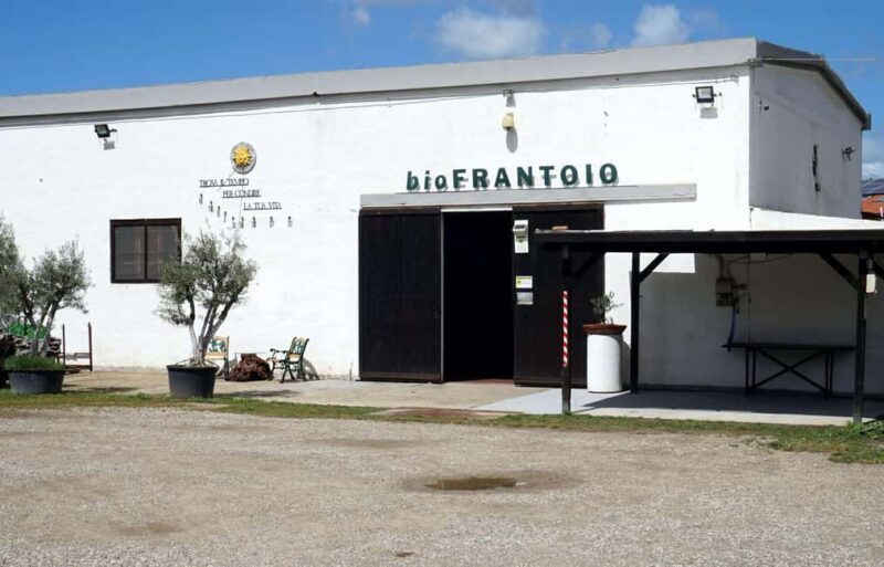 Cagliari Olive Oil Farm & Tasting (Since 1600, 20 Min Away) - Discover Sardinia’s Olive Oil Heritage with a Family-Owned Farm Tour