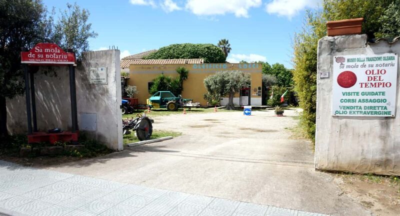 Cagliari Olive Oil Farm & Tasting (Since 1600, 20 Min Away) - Key Points