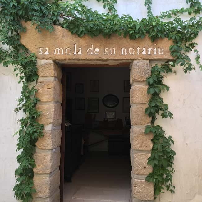 Cagliari Olive Oil Farm & Tasting (Since 1600, 20 Min Away) - Final Thoughts