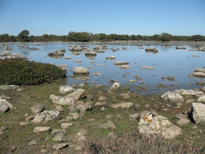 Cagliari: Su Nuraxi Barumini Unesco & Giara Horses 4h Tour - FAQs