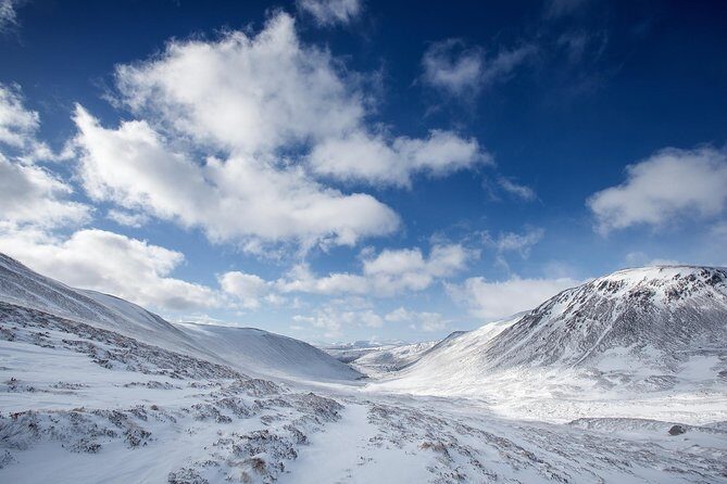 Cairngorms & Whisky Day Tour from Inverness Including Admission - Who Will Love This Tour?