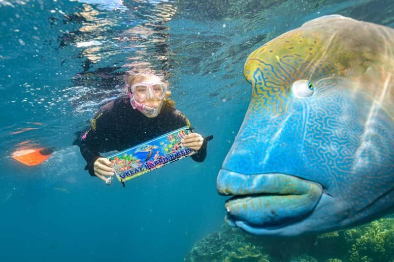 Cairns: 2-Day Barrier Reef Pontoon & Fitzroy Island Tour - The Itinerary in Detail