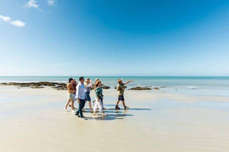 Cairns: 2-Day Great Barrier Reef & Daintree Rainforest Tour - Who Is This Tour Best For?