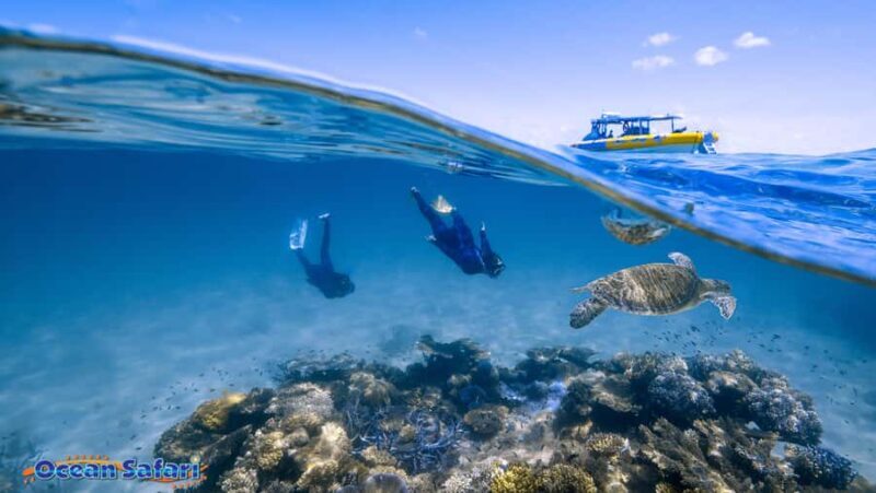 Cairns : 2 Days Daintree & Reef Experience - Key Points  