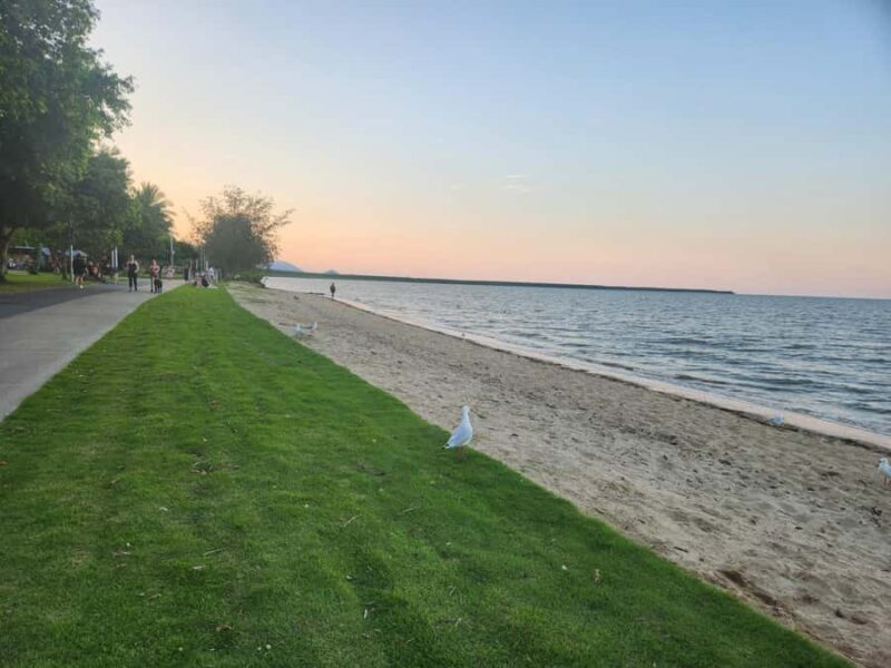 Cairns: 3 days - Daintree, Kuranda, Reef, Accommodation - Exploring Cairns in 3 Days: An Authentic Adventure