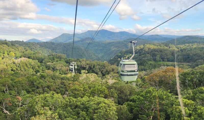 Cairns: 3 days - Daintree, Kuranda, Reef, Accommodation - FAQ