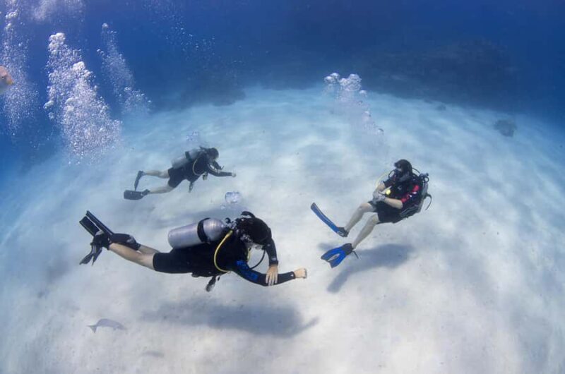 Cairns: 4-Day PADI Open Water Course - The Value of the Course: What Makes It Worthwhile?