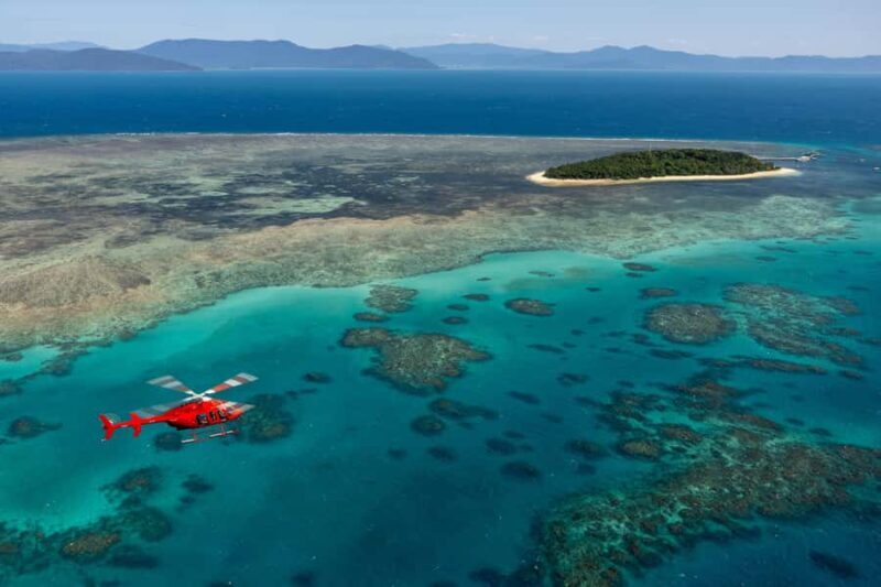 Cairns: 45 Min Great Barrier Reef & Rainforest Scenic Flight - Authentic Feedback from Travelers