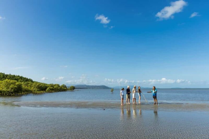 Cairns: Aboriginal Coastal Adventure & Mossman Gorge Tour - An In-Depth Look at the Tour Experience