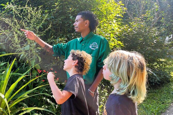 Cairns: Aboriginal Cultural Tour Atherton Tablelands - Why This Tour Could Be the Perfect Fit for You