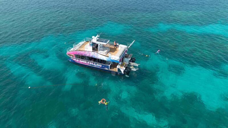 Cairns: All-Inclusive Great Barrier Reef Half-Day Snorkeling - Key Points