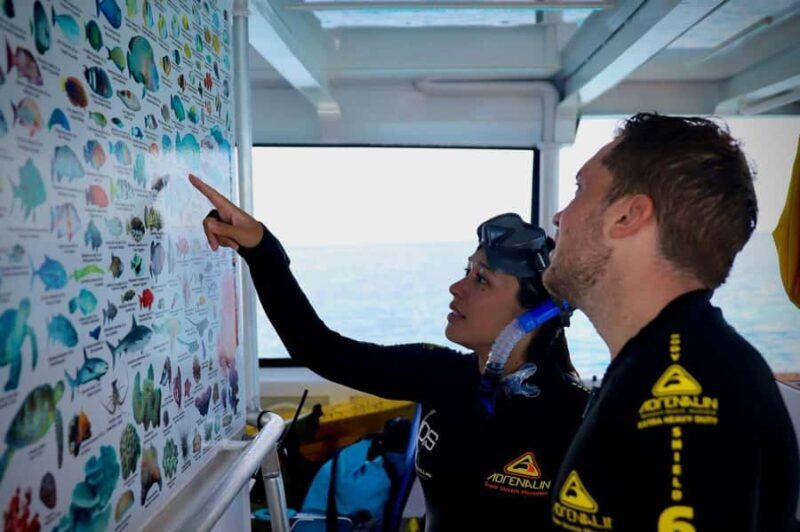 Cairns: All-Inclusive Great Barrier Reef Half-Day Snorkeling - The Itinerary: What to Expect