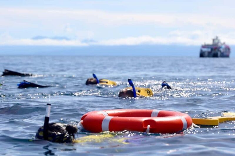 Cairns: All-Inclusive Great Barrier Reef Half-Day Snorkeling - The Sum Up