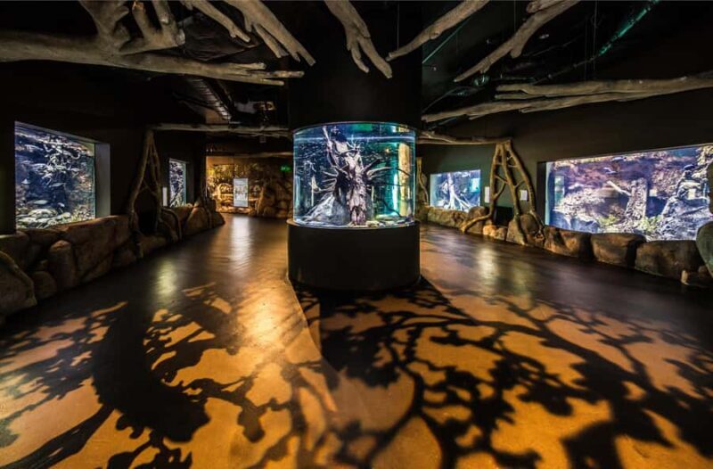 Cairns: Aquarium Guided Twilight Tour with 3-Course Dinner - Introduction