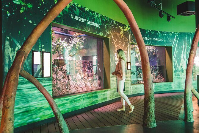 Cairns Aquarium Marine Life Encounter Ticket - The Sum Up