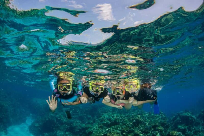 Cairns: Best Value All-inclusive Reef Trip With Scuba Dive - What Makes This Tour Stand Out?