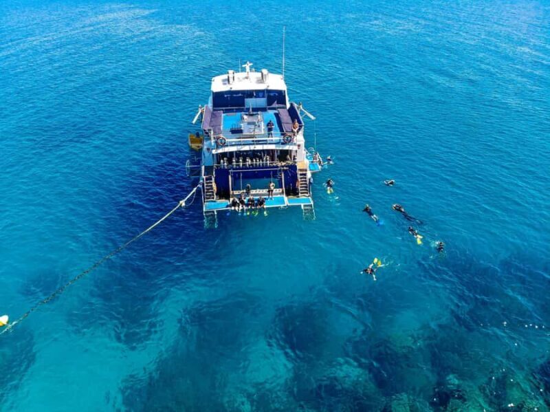 Cairns: Best Value All-inclusive Reef Trip With Scuba Dive - Who Should Book This Tour?