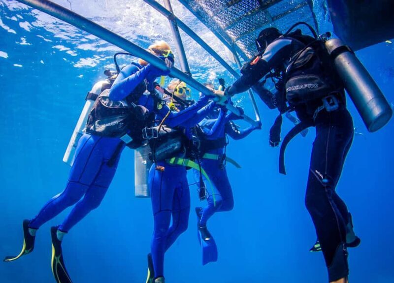 Cairns: Best Value All-inclusive Reef Trip With Scuba Dive - Frequently Asked Questions