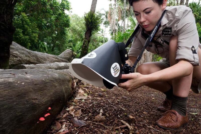 Cairns Botanic Gardens: Mushroom Photography Tour - Final Thoughts