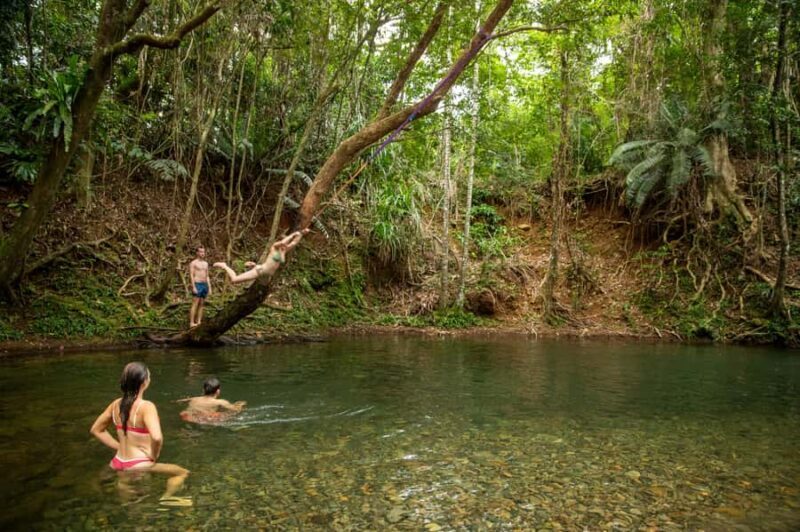 Cairns: Cape Tribulation, Beaches, Crocs & Swimming Day Tour - Exploring the Cairns: Cape Tribulation, Beaches, Crocs & Swimming Day Tour