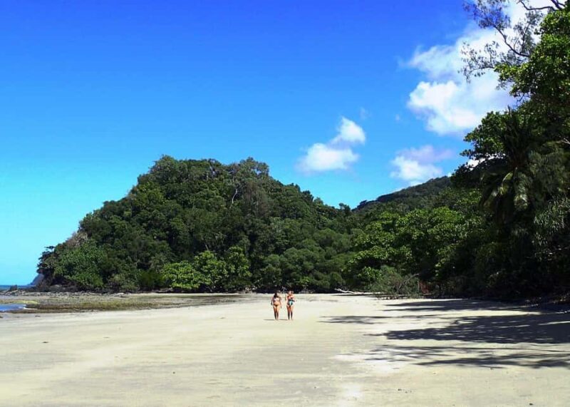 Cairns: Cape Tribulation, Beaches, Crocs & Swimming Day Tour - What Makes This Tour Stand Out?