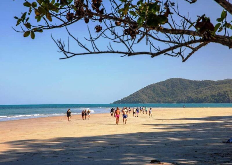 Cairns: Cape Tribulation, Beaches, Crocs & Swimming Day Tour - Final Thoughts
