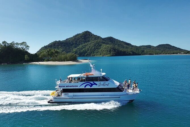 Cairns Catamaran Harbour and Dinner Cruise - Who Will Love This Cruise?