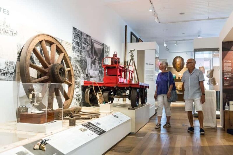 Cairns City: Cairns Koala & Creatures + City Sights Tour - How This Tour Works in Practice