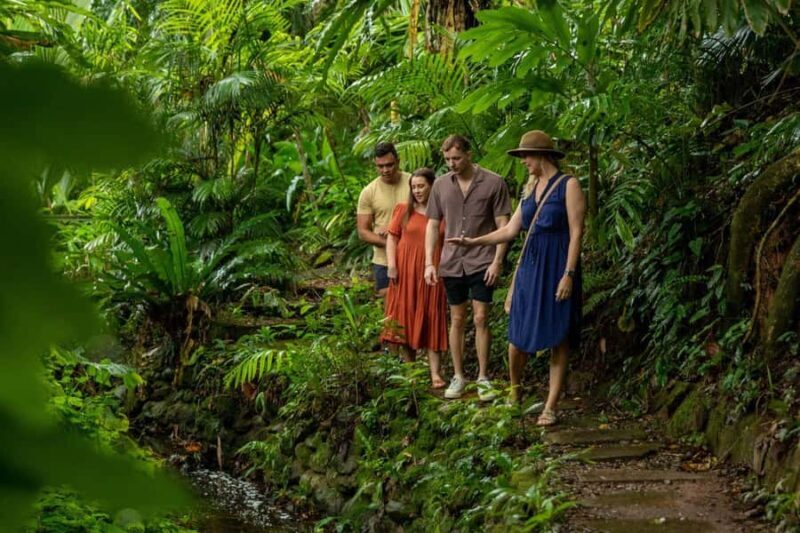 Cairns City: Cairns Koala & Creatures + City Sights Tour - FAQs