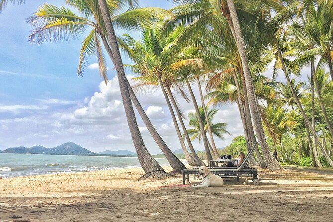 Cairns City Half Day Tour - Why This Tour Offers Great Value