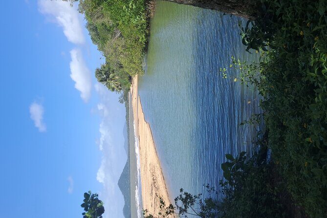 Cairns City Half Day Tour - The Sum Up