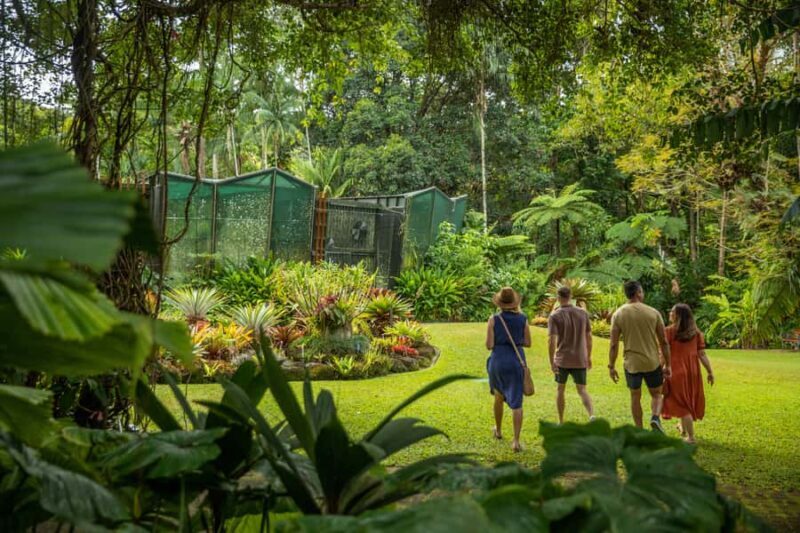 Cairns: City Sights Tour with Evening Dinner Cruise - Exploring Cairns: A Detailed Look at the City Sights and Dinner Cruise Experience