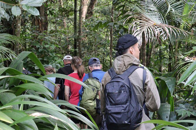 Cairns Daintree Rainforest and Cape Tribulation 2-Day Tour - Frequently Asked Questions