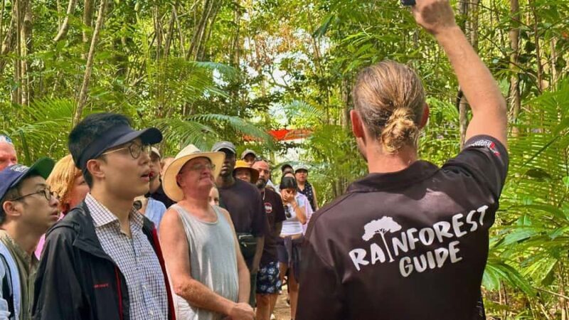 Cairns: Daintree Rainforest and Mossman Gorge Tour - Key Points