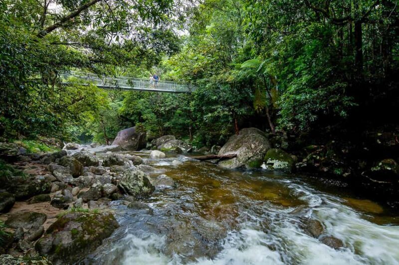 Cairns: Daintree Rainforest and Mossman Gorge Tour - The Sum Up