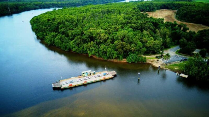 Cairns: Daintree Rainforest and Mossman Gorge Tour - FAQ