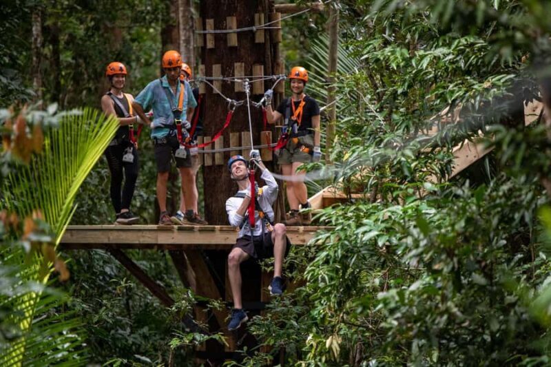 Cairns: Daintree Rainforest Canopy Ziplining Tour - Overall Impression and Who Will Love It