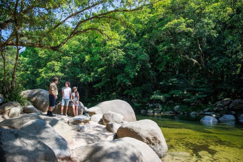 Cairns: Daintree Rainforest & Cape Tribulation Day Trip - Key Points