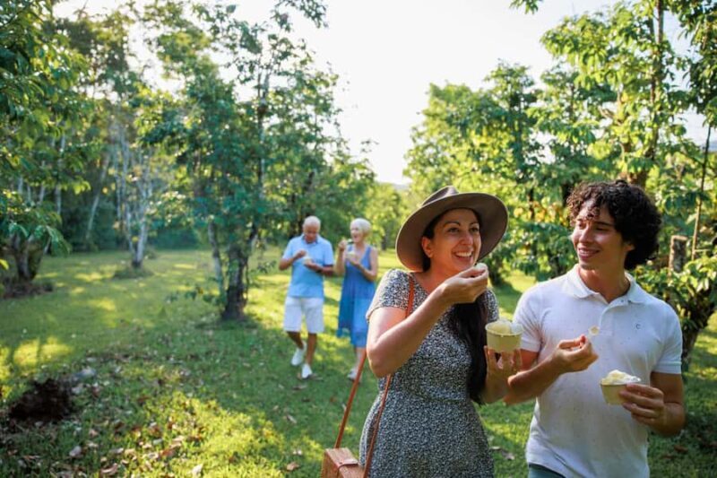 Cairns: Daintree Rainforest & Cape Tribulation Day Trip - An In-Depth Look at the Daintree & Cape Tribulation Experience