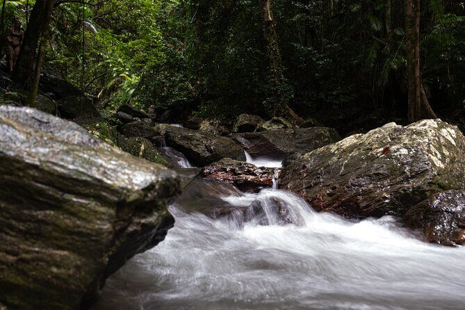 Cairns Day Tour Private Waterfall - An In-Depth Look at the Cairns Private Waterfall Tour