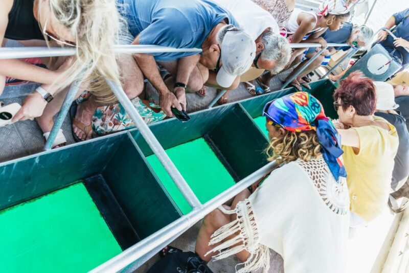 Cairns: Fitzroy Island Full-Day Trip with Optional Extras - The Sum Up