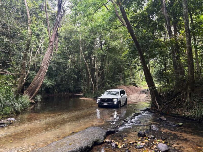 Cairns: Forest and Waterfalls Half-Day 4WD Guided Adventure - Key Points