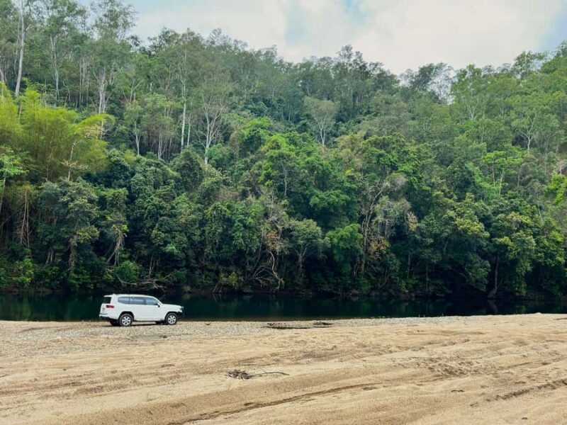 Cairns: Forest and Waterfalls Half-Day 4WD Guided Adventure - Who Will Love This Experience?