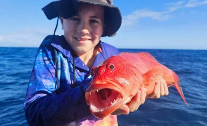 Cairns: Great Barrier Reef Fishing Charter with Lunch - The Overall Value
