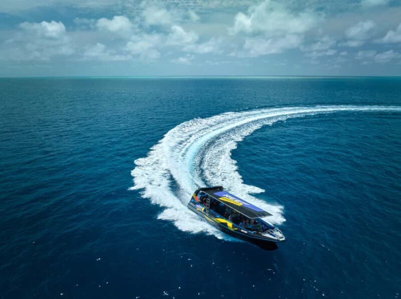 Cairns: Great Barrier Reef Half-Day Snorkelling Tour - Who Will Love This Tour?