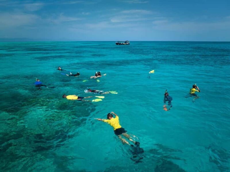 Cairns: Great Barrier Reef Half-Day Snorkelling Tour - The Sum Up